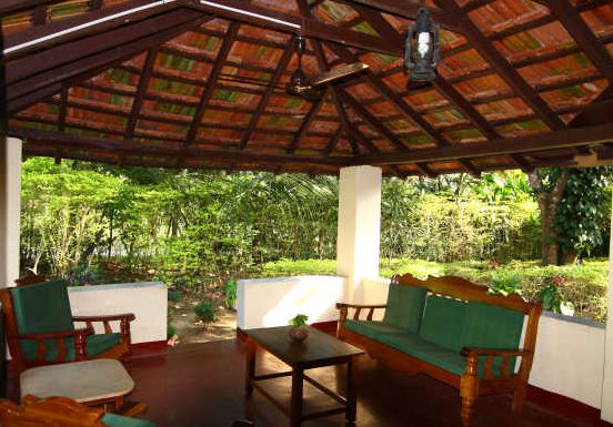 Gallery - Jungle Inn